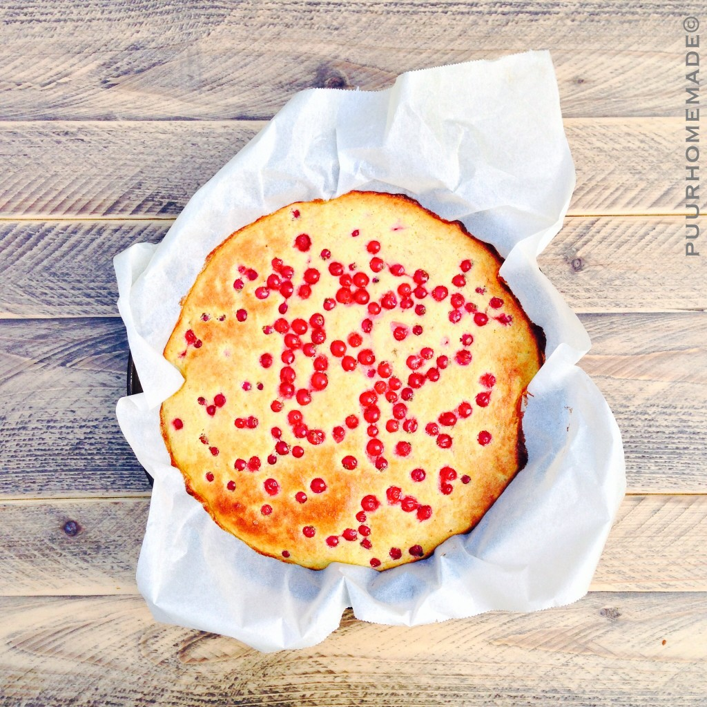 Frans gebak met rode bessen - Vol Smaak